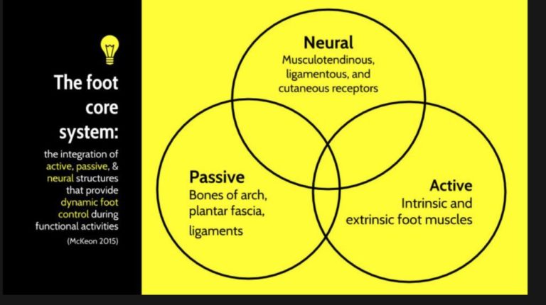 Foot Core - ModPod Sports Podiatry
